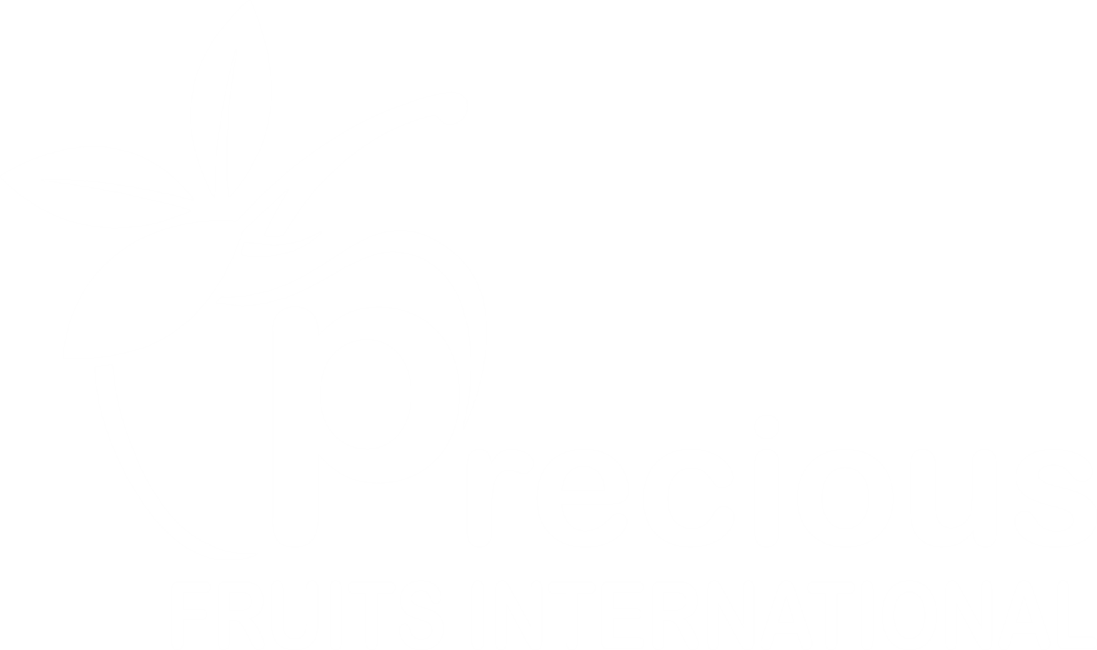 Working Process – Precious Fruits International